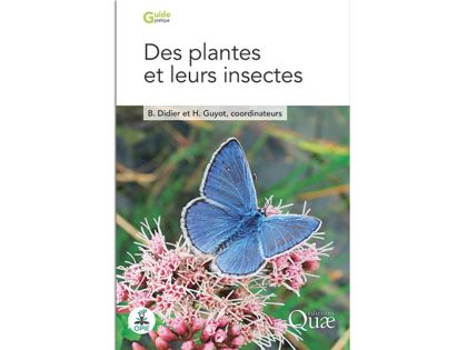 Nouveauté lecture : Des plantes et leurs insectes