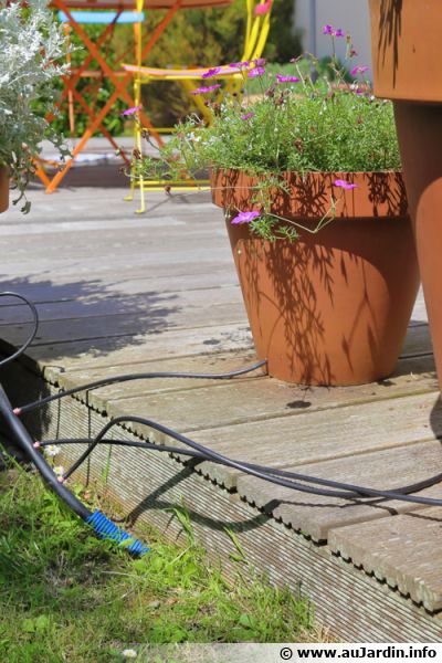 Systeme Arrosage Plantes Pendant Vacances
