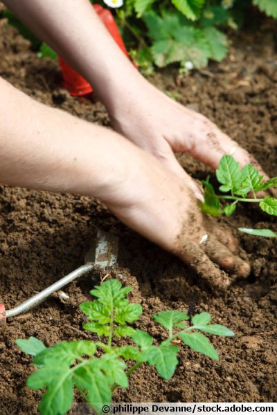 Jardiner autrement, 10 règles à suivre