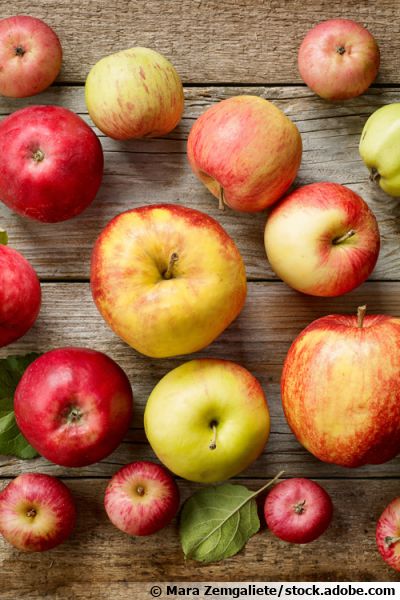 La pomme, pour être en forme toute l'année