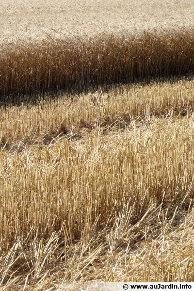 Le lessivage des sols