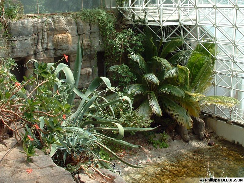Biosphère 2, un monde en miniature