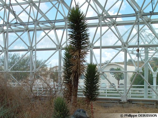 Biosphère 2, un monde en miniature