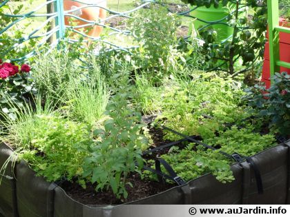 10 conseils pour réaliser un potager sur le balcon
