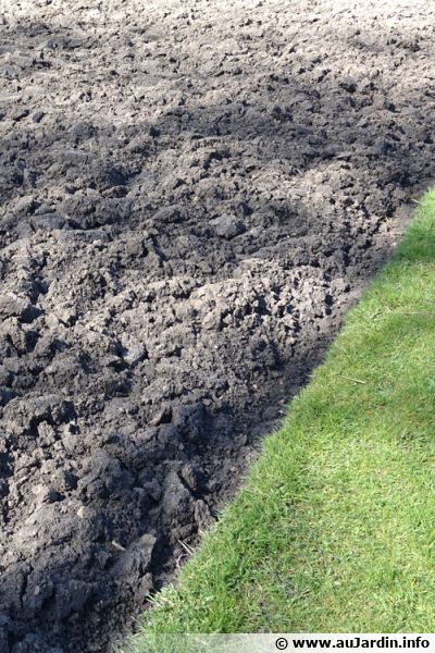 Labourer ou aérer/ameublir/décompacter la terre de son potager