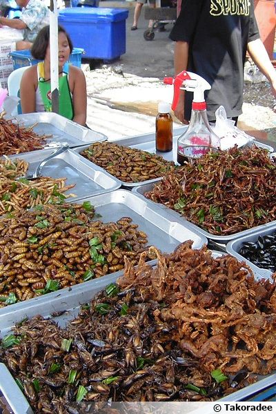 Des insectes au menu