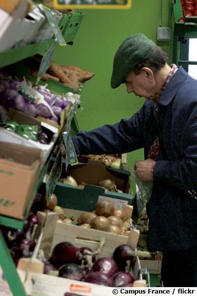 Quand et comment semer les légumes primeurs
