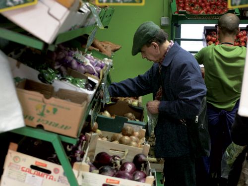 Quand et comment semer les légumes primeurs