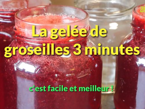 Gelée de groseilles 3 minutes : recette