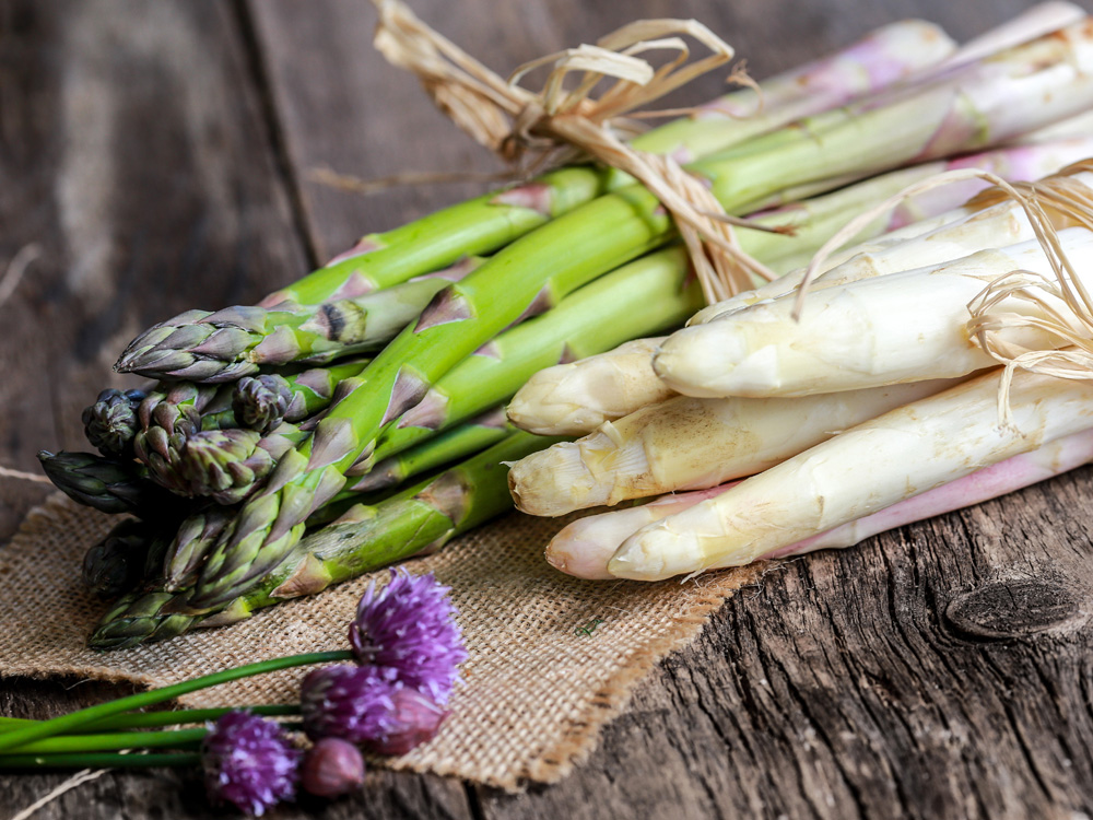 L'asperge, un mets aux origines royales