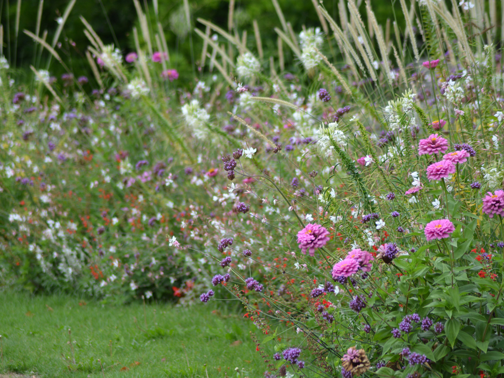 Les mixed-borders, des aménagements So British!