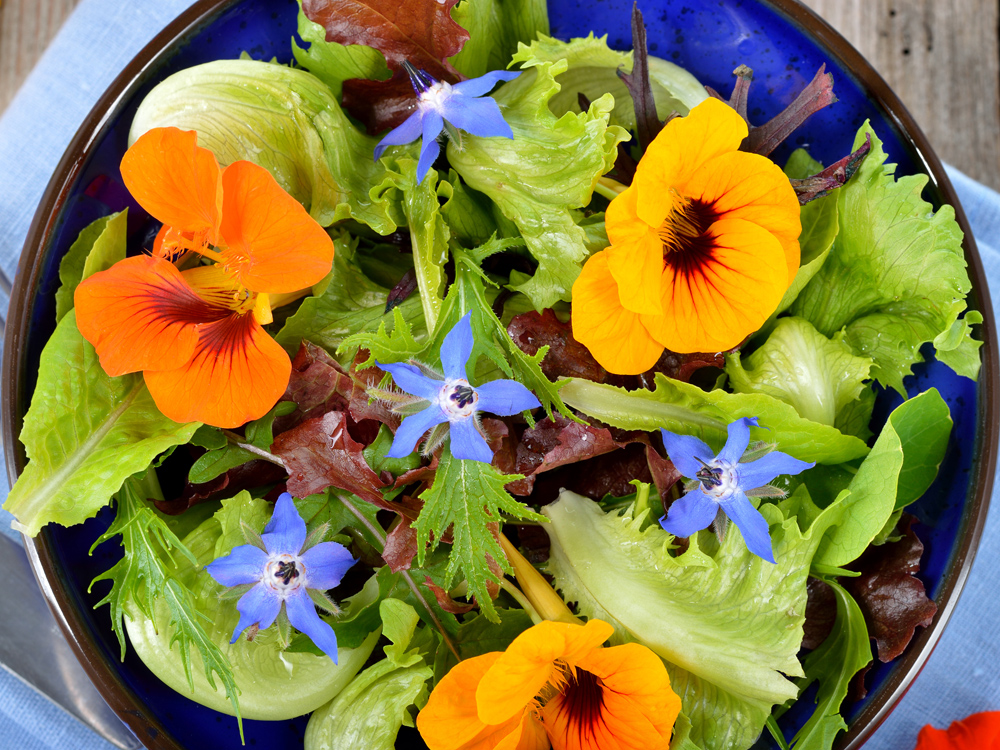 Des fleurs comestibles à planter au jardin