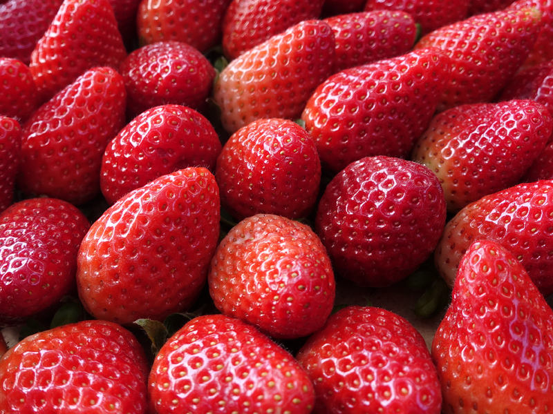 Questions fréquentes sur les fraises