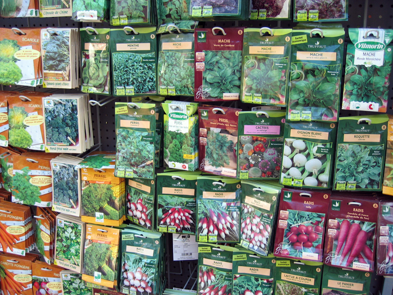 Bien choisir ses graines