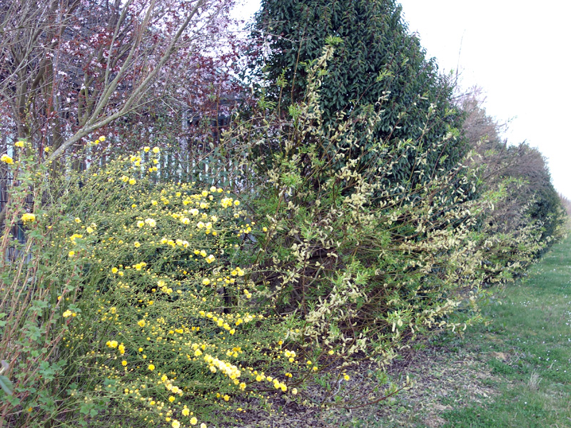 Caduque Ou Caduc 🗝 Que Faire Quand Le Bail Est Caduque