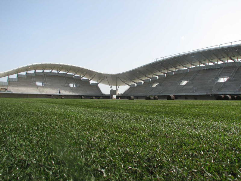 La pelouse des terrains de la coupe du monde de rugby