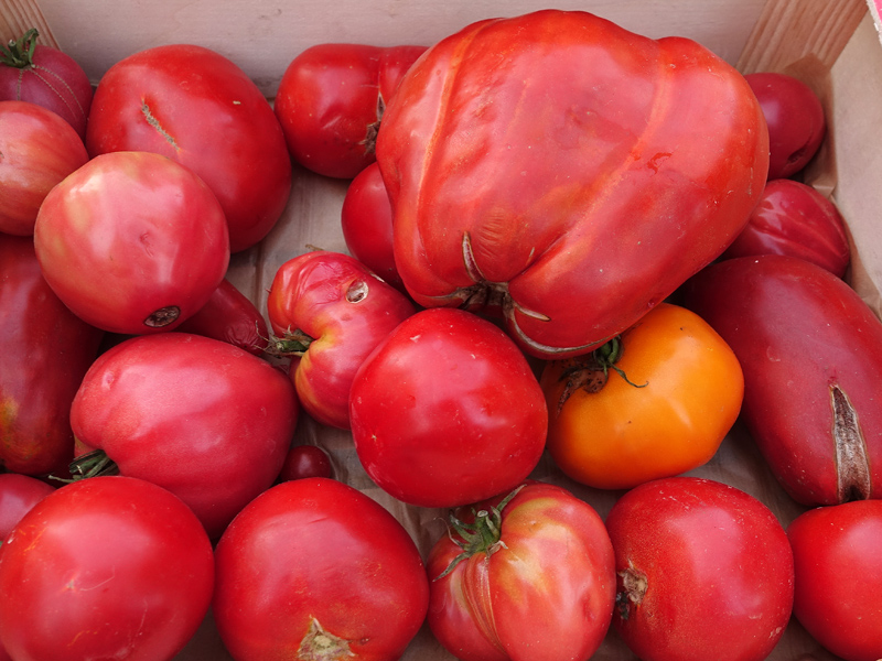 Pourquoi manger des fruits et des légumes locaux