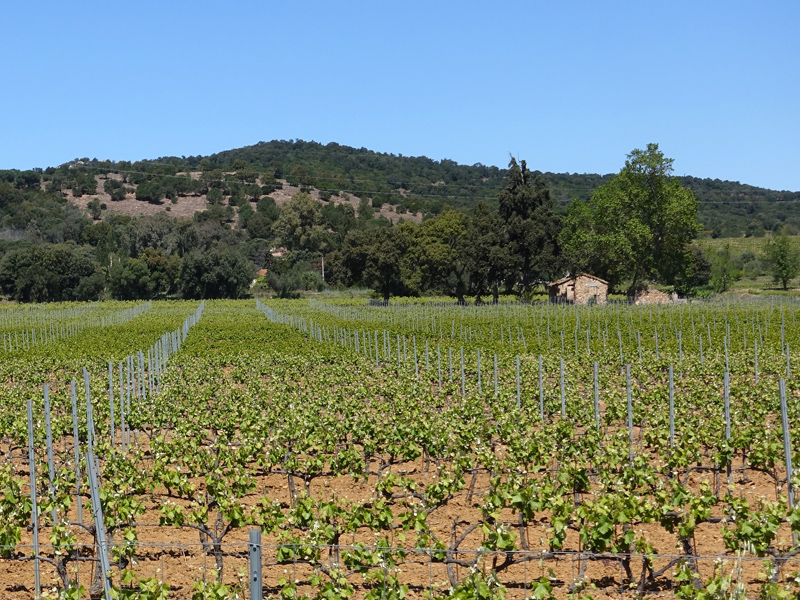 Comment entretenir son verger