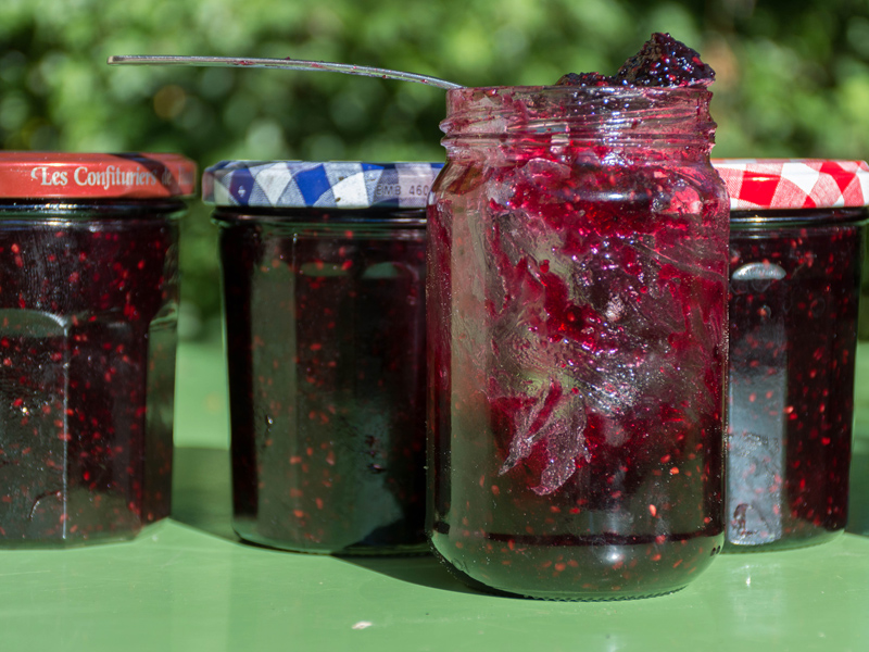 Comment faire ses confitures