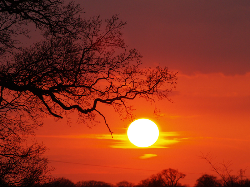 Solarisation du sol, la désinfection par le soleil
